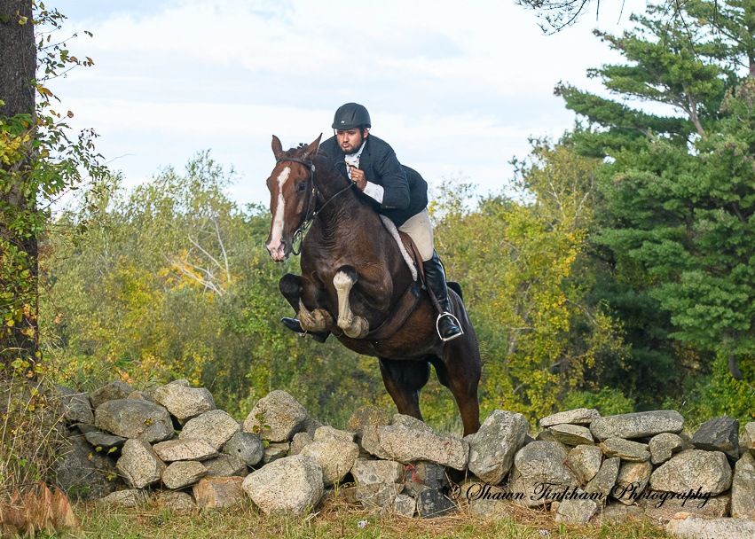 The Fox Hunting Horse - CHESTTER