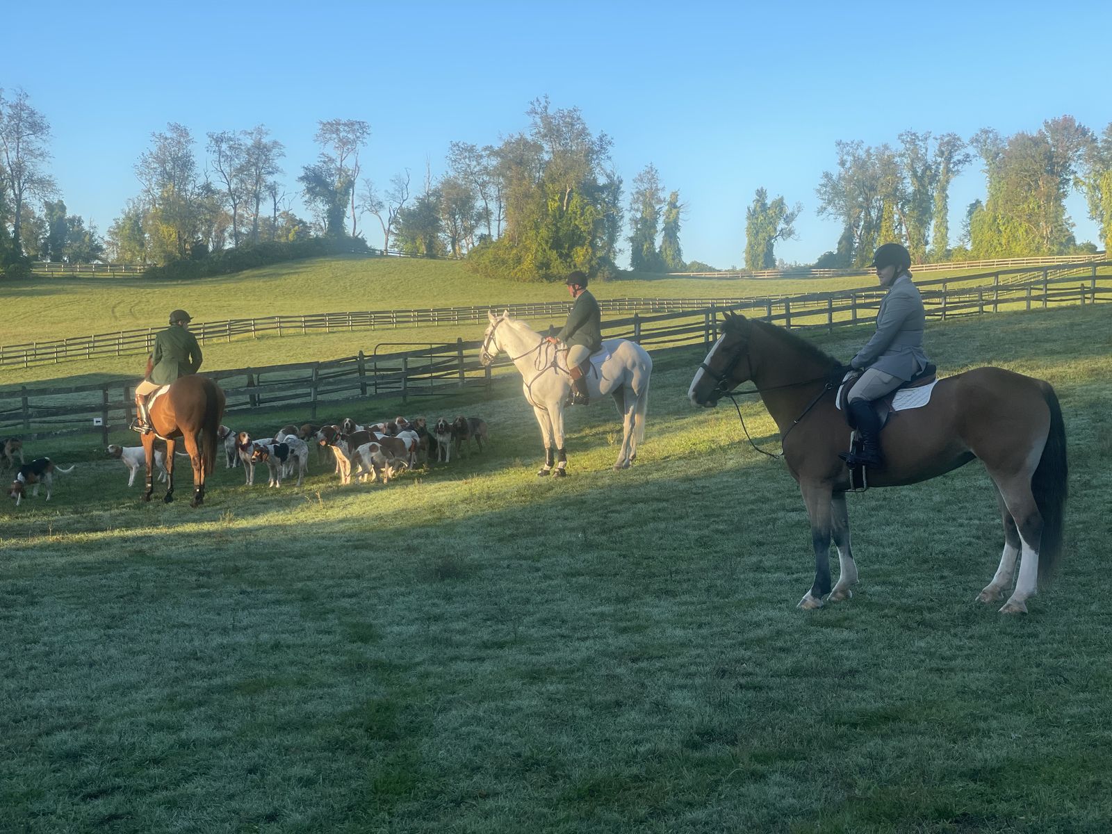 The Fox Hunting Horse - *MAGGIE