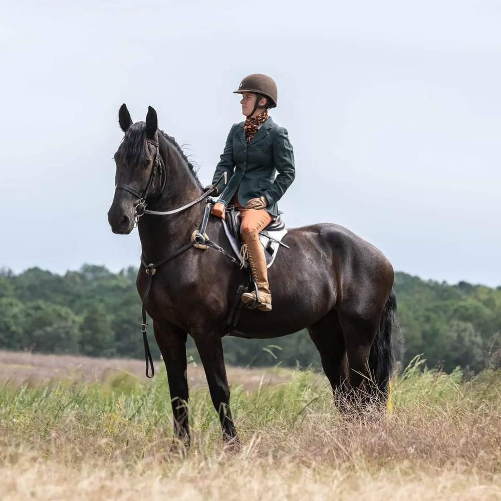 The Fox Hunting Horse - Hilltopper