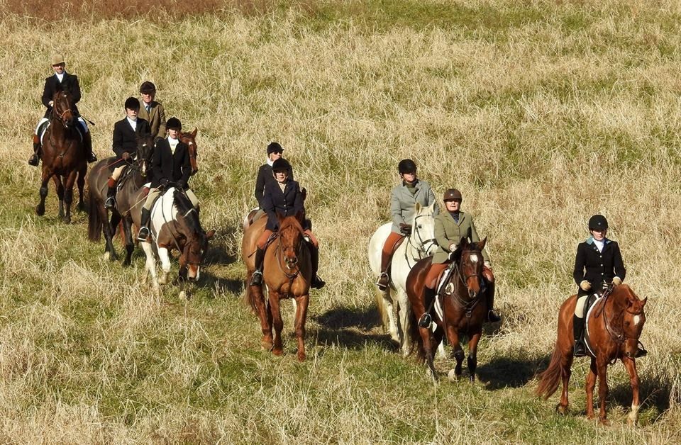 The Fox Hunting Horse