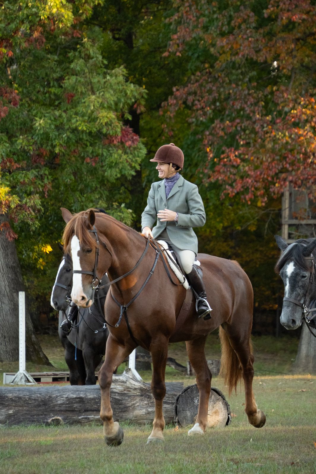 The Fox Hunting Horse - POPPY