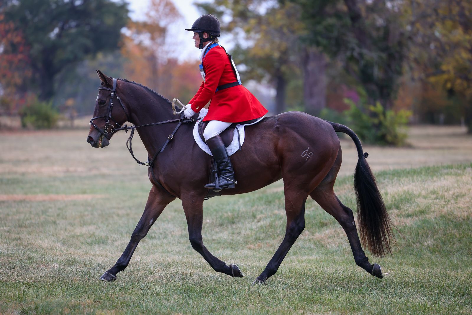 The Fox Hunting Horse - *HOLIDAY STONE
