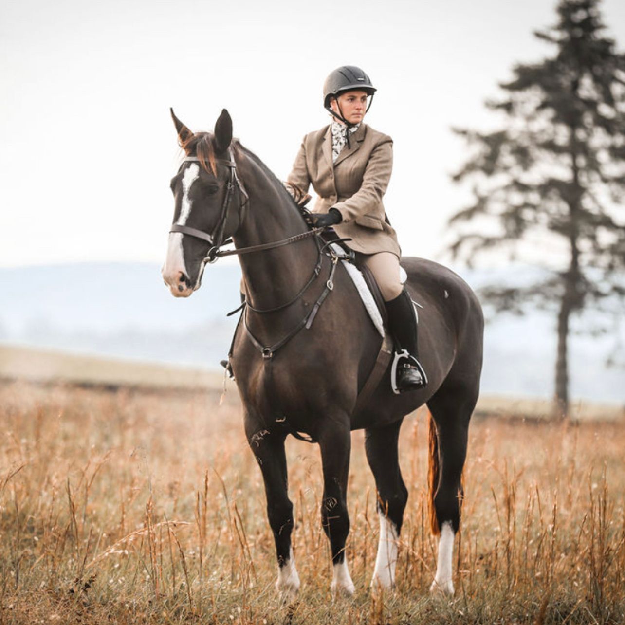 The Fox Hunting Horse - Second Flight