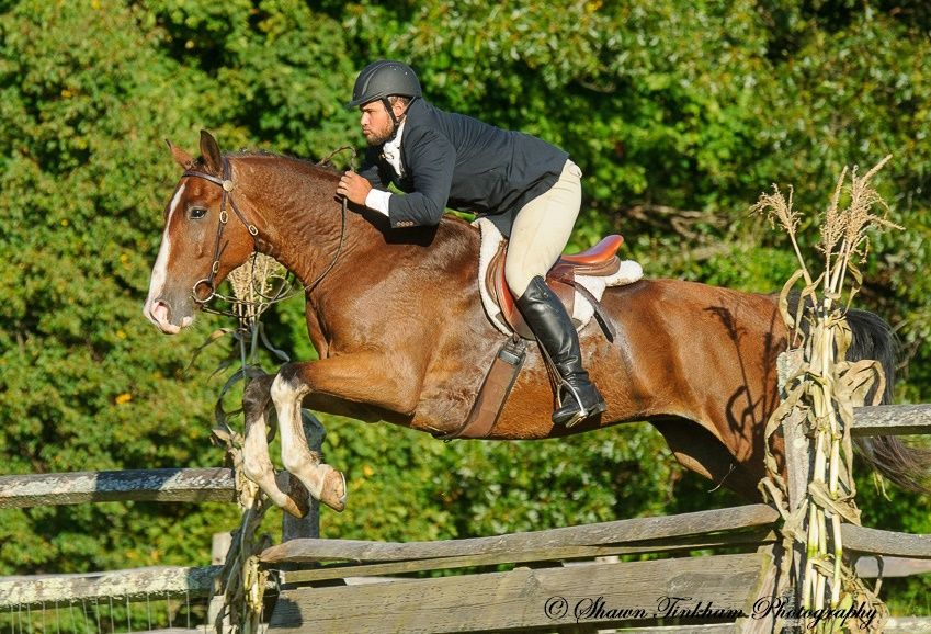 The Fox Hunting Horse - CHESTTER