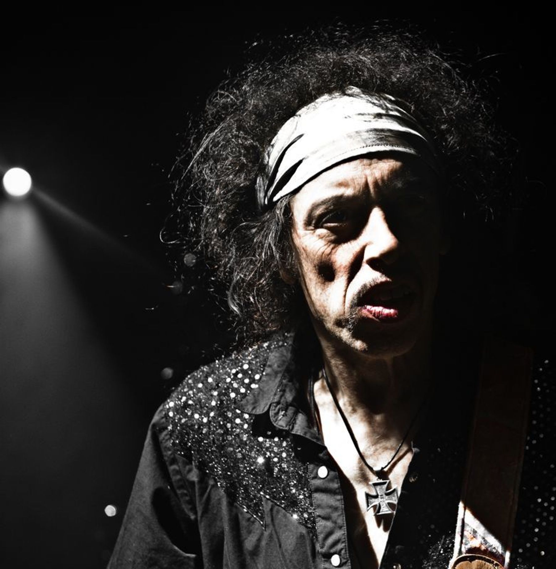 Randy Hansen - Band Bio's