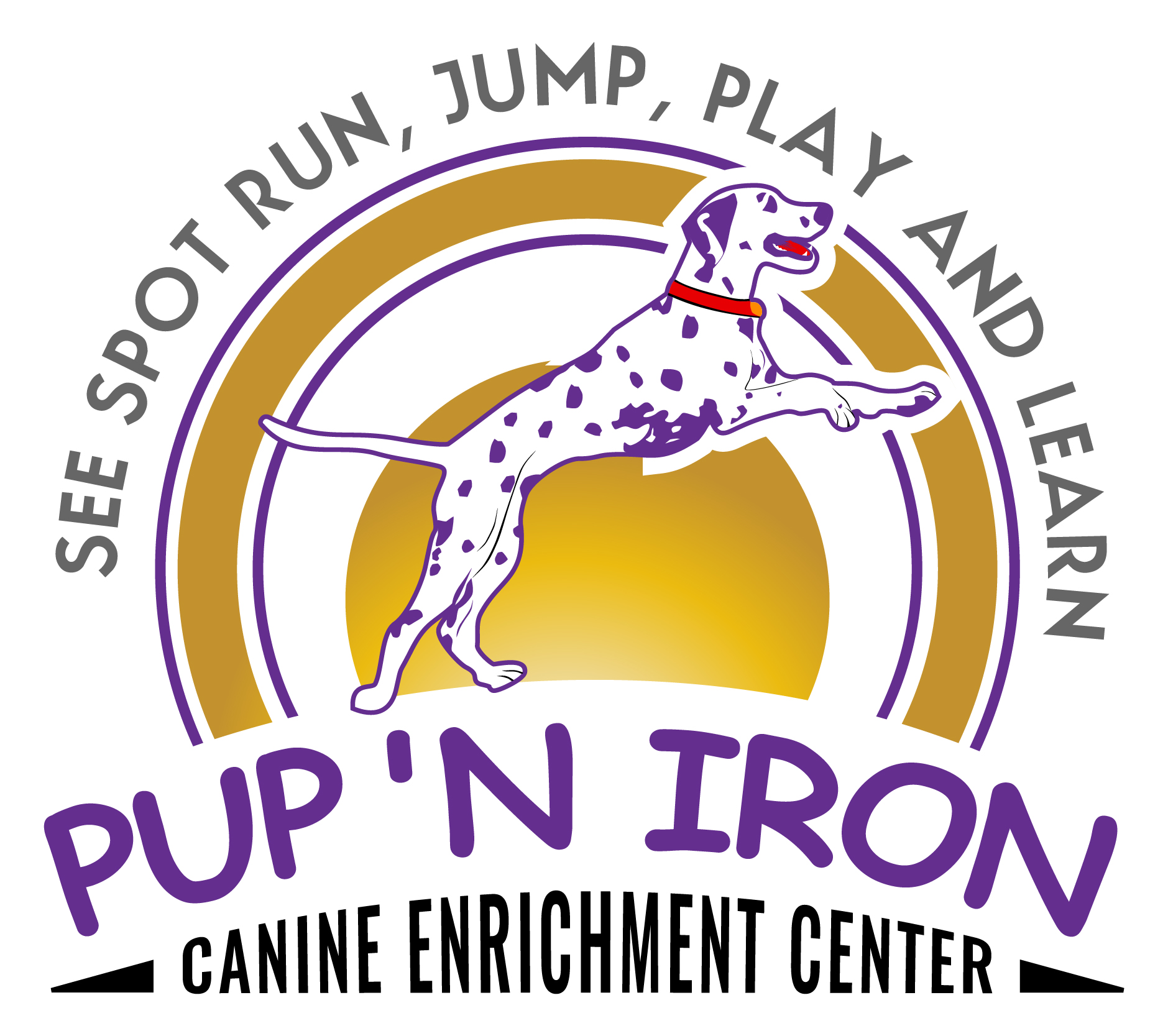 Levels Program - 4 Month Membership - See Spot Run, Jump, Play & Learn