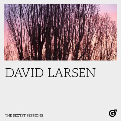 David Larsen