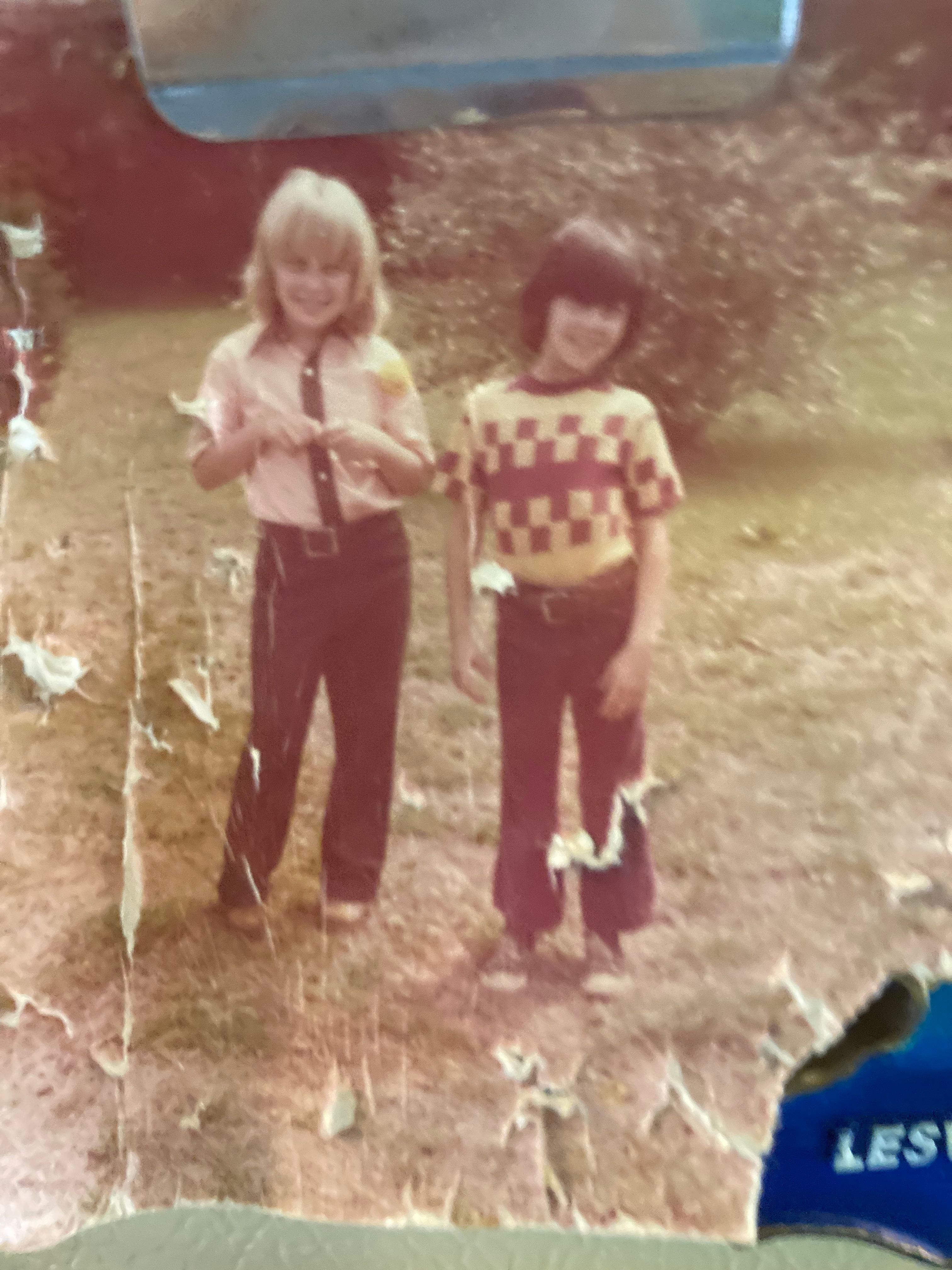 fabulousBird - songs