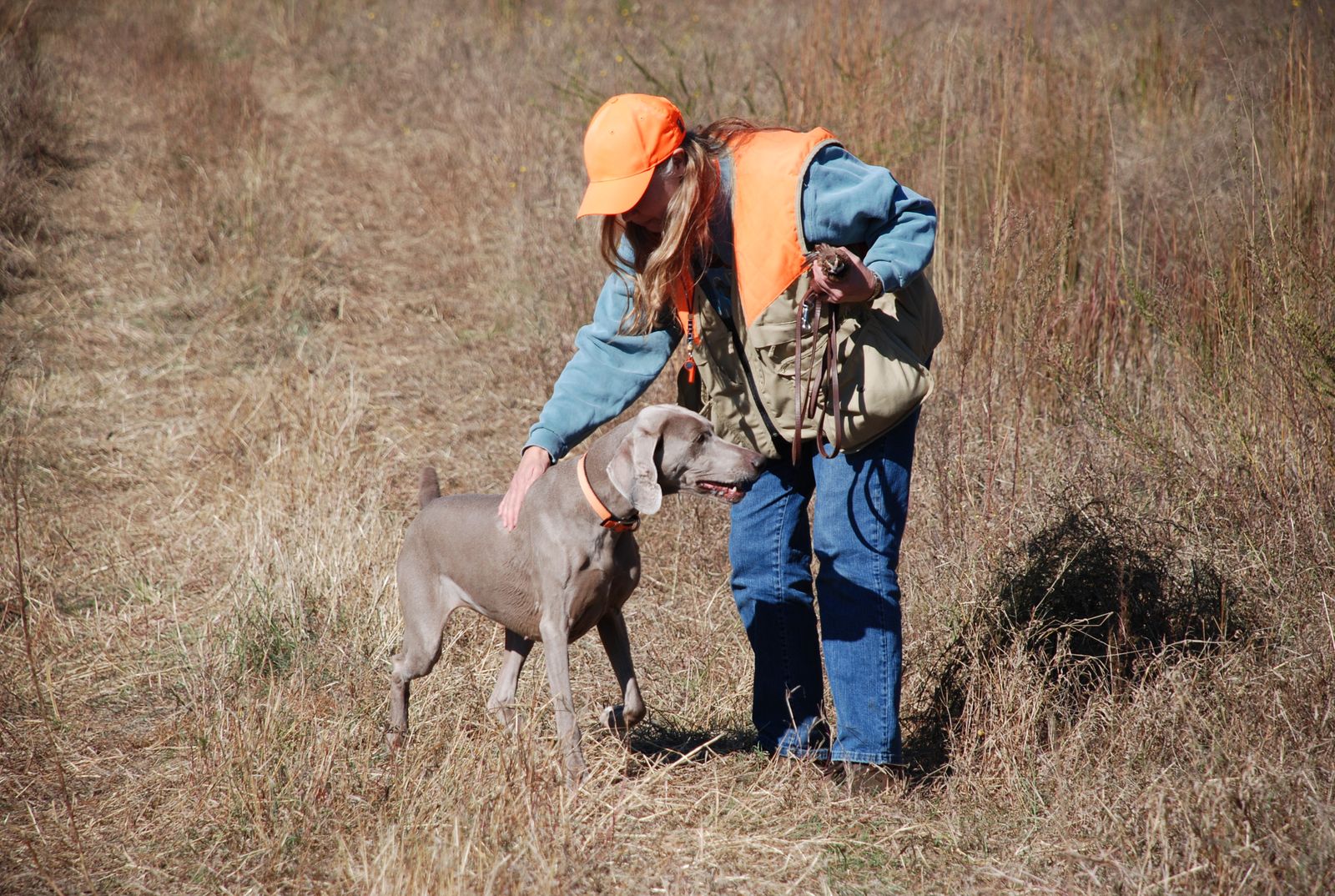 Versa Weimaraners - About Us