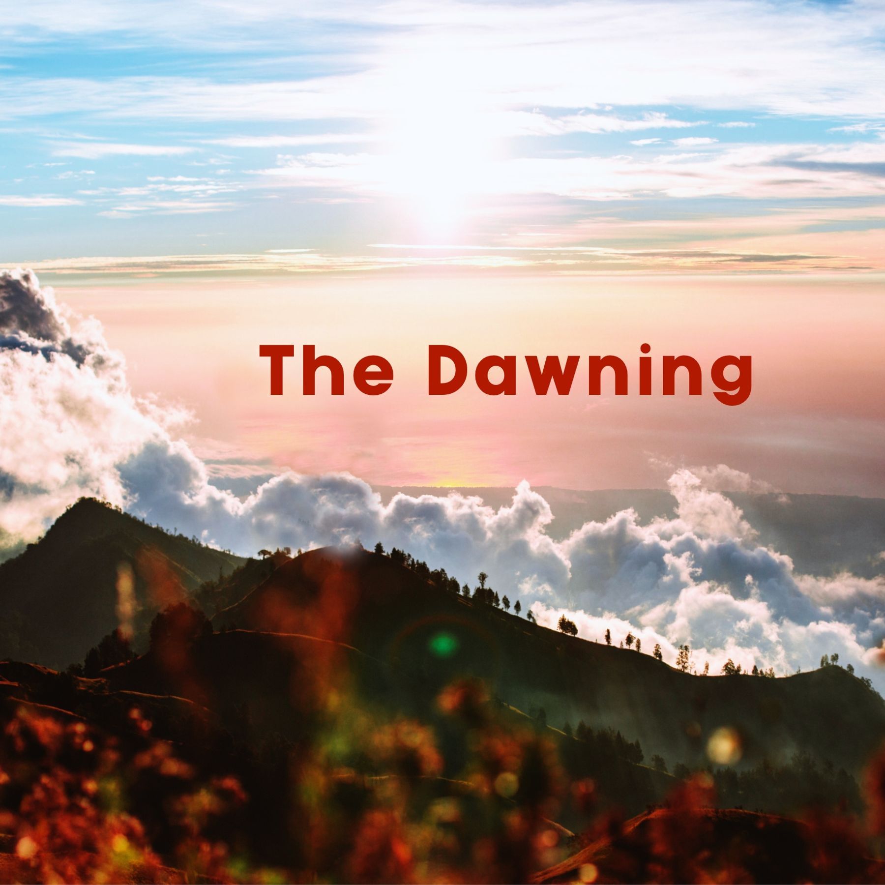 HOME [kimberlyandalbertorivera.com]