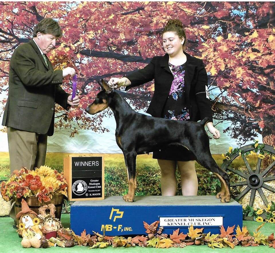 Andella Kennels - Pryor