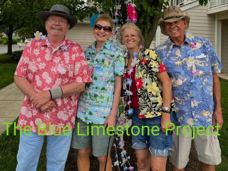 The Blue Limestone Project