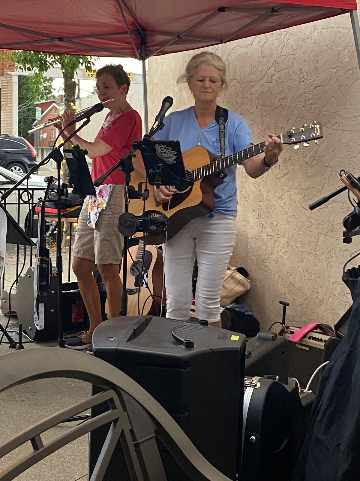 The Blue Limestone Project