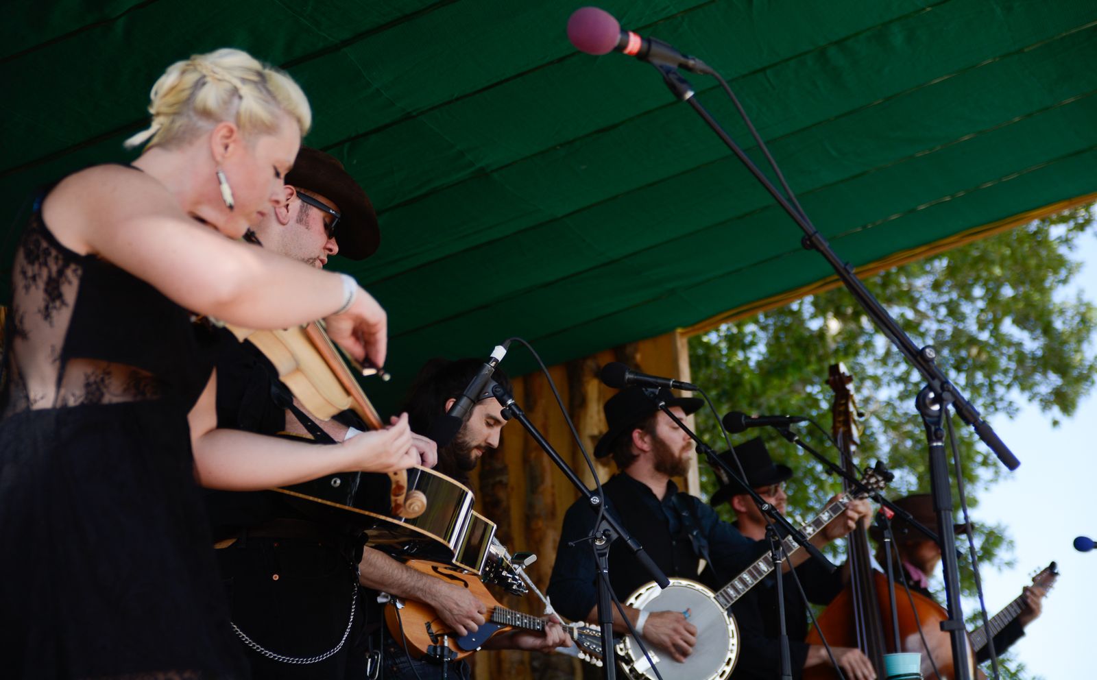 TedFest - Photos