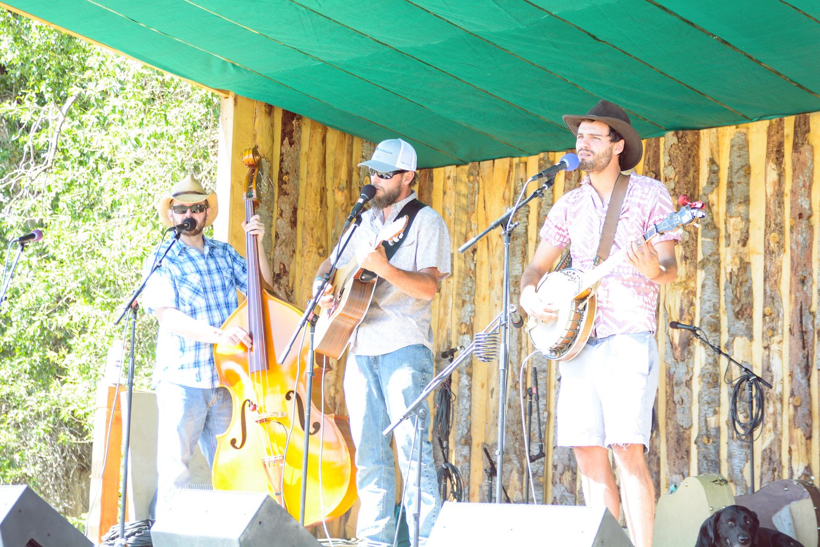 TedFest - Photos