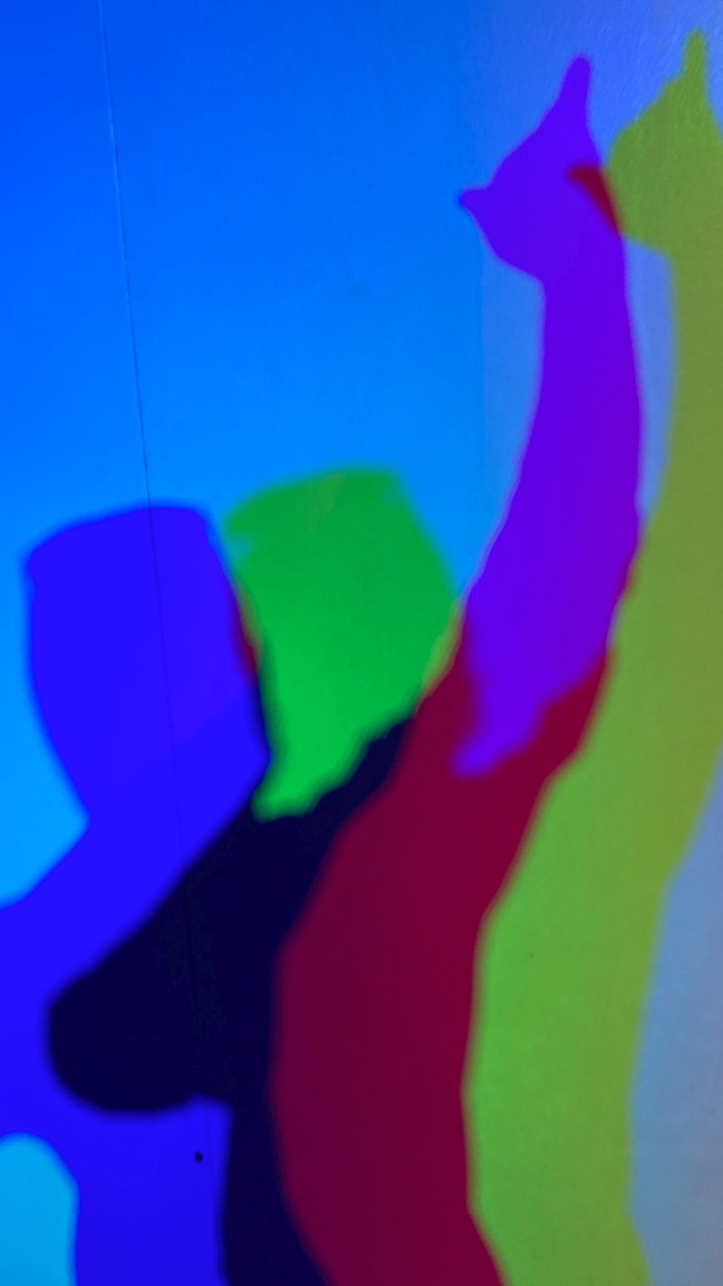 David Elias Music Store