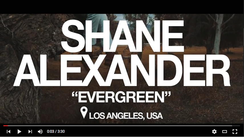 Brand Spanking New Shane Alexander Video: "Evergreen"!