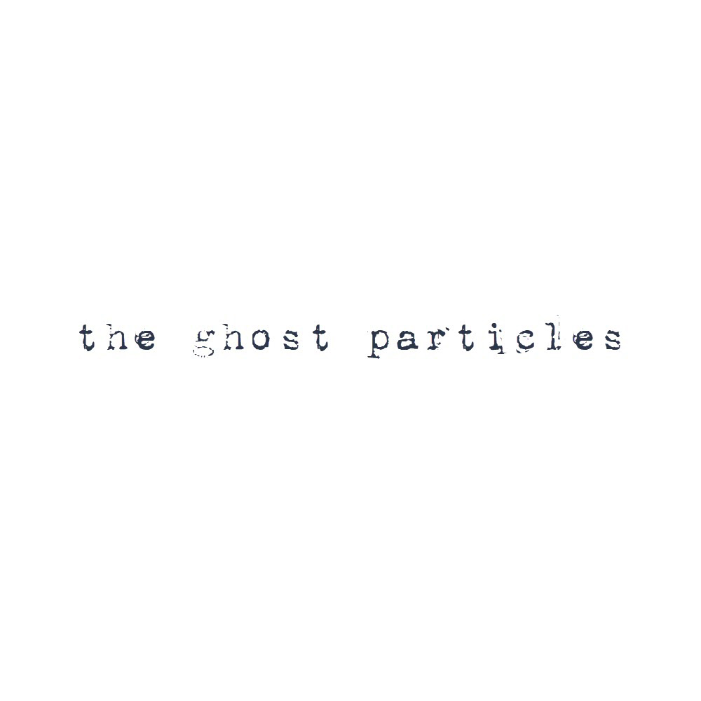 the ghost particles