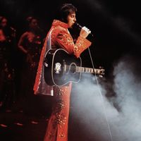 Elvis Tribute Artist Spectacular