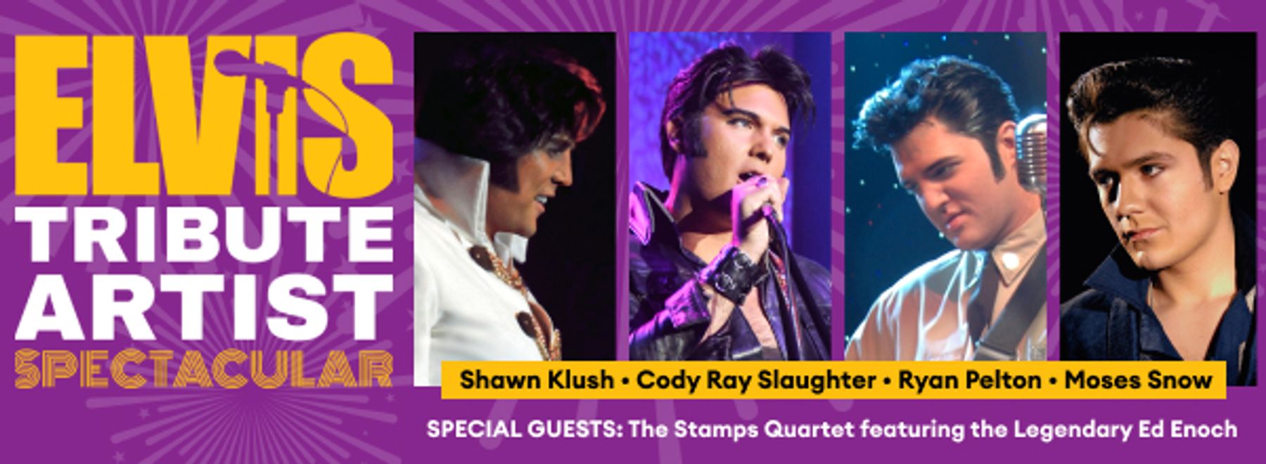 Elvis Tribute Artist Spectacular