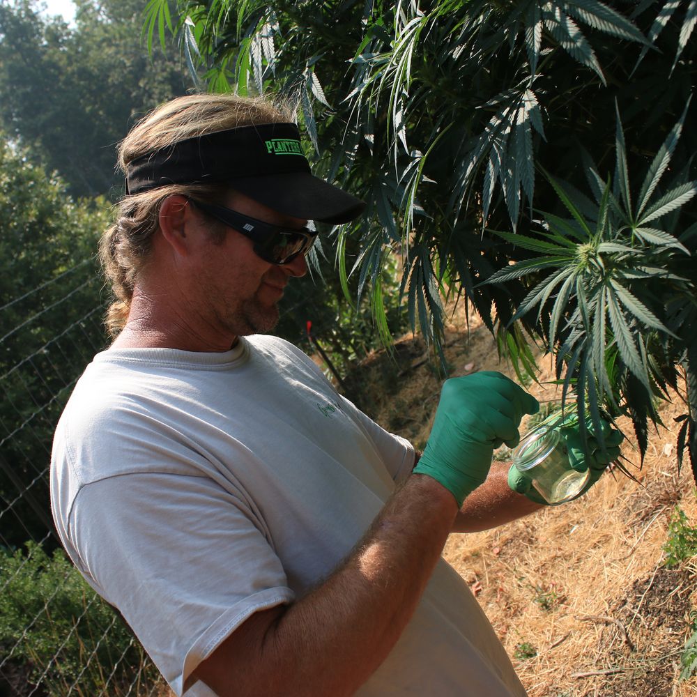 Greenshock Farms - Breeder Bio