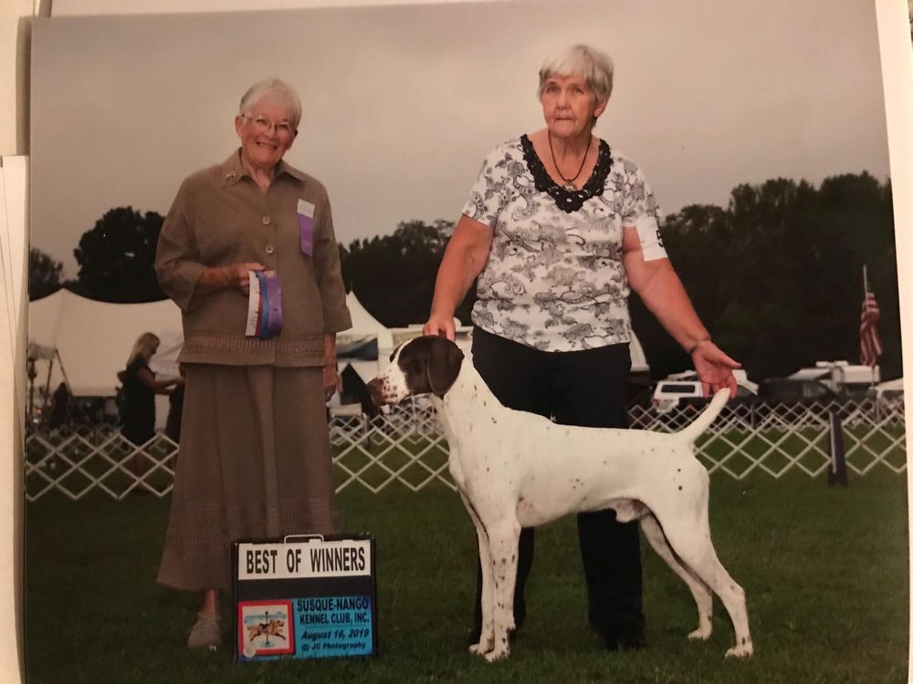 STEINHOFF POINTERS - Chase