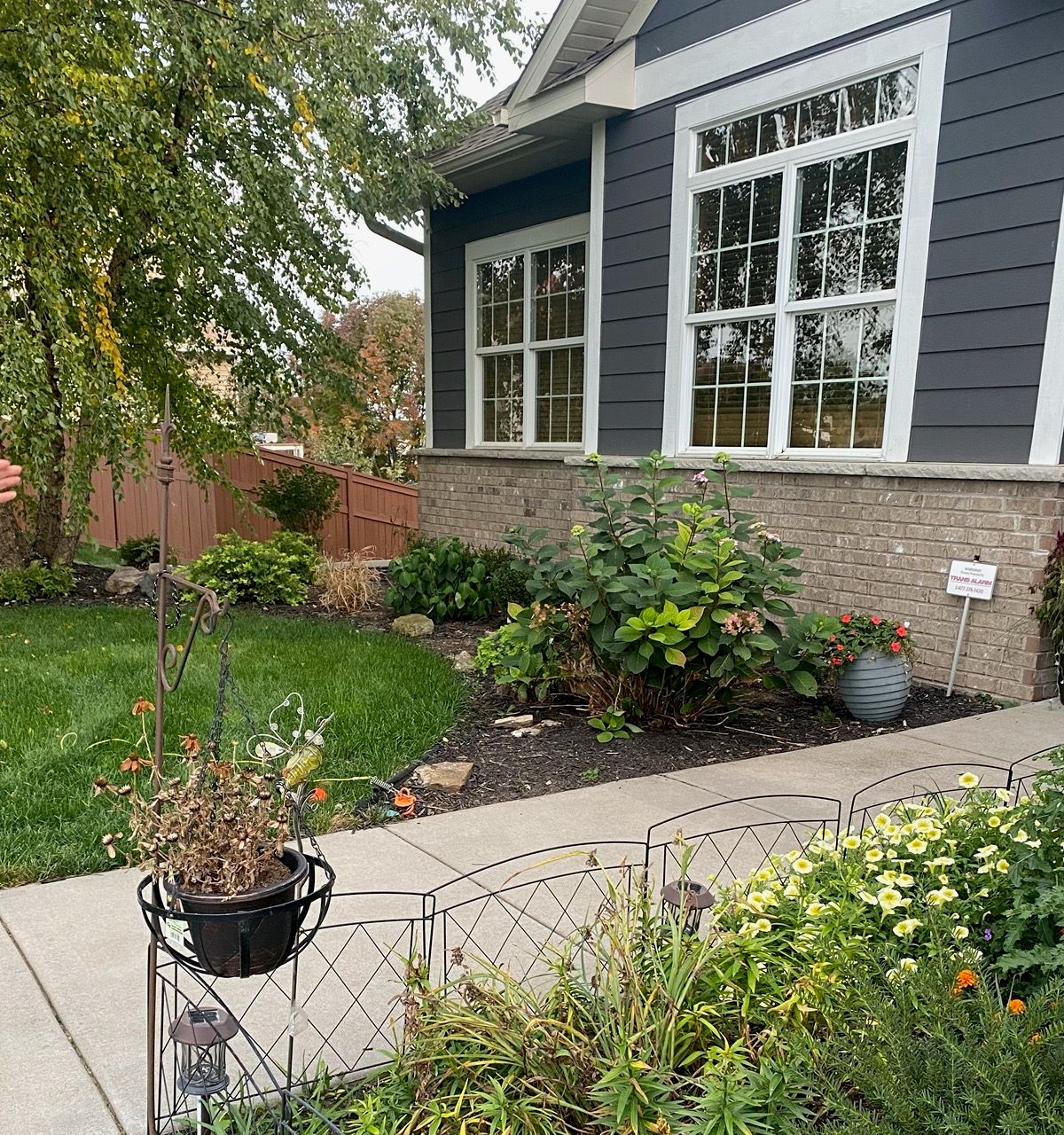Curbside Curator - Design