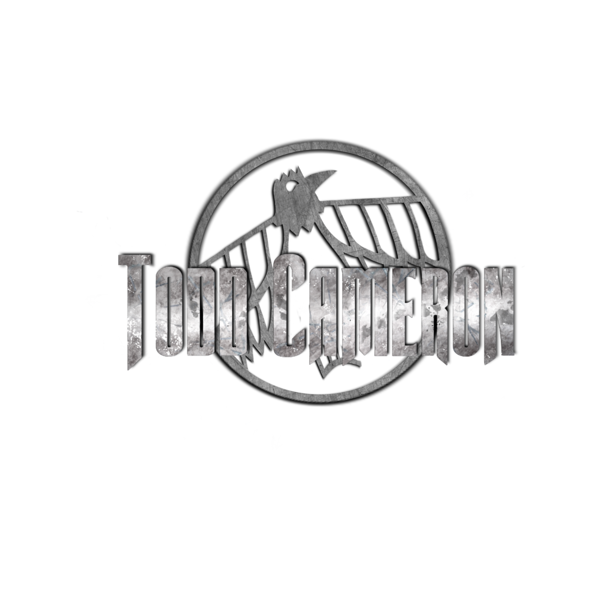 Todd Cameron - Shows