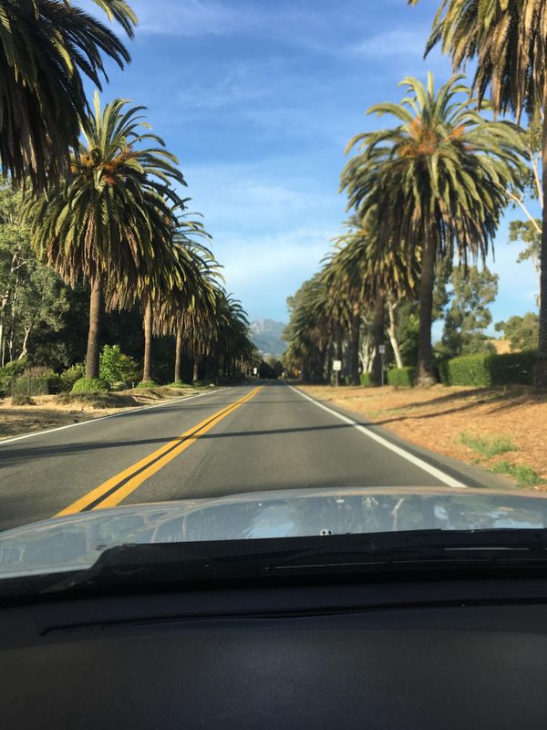 Robert Michael Lyden Album: Mileage