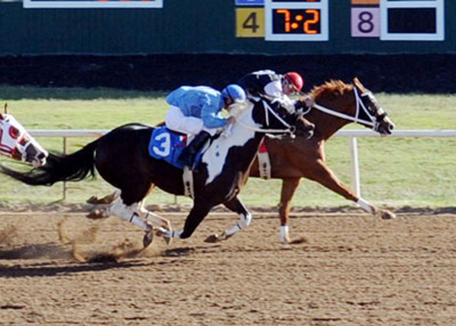 Lone Star Performance Horses - Special Contender