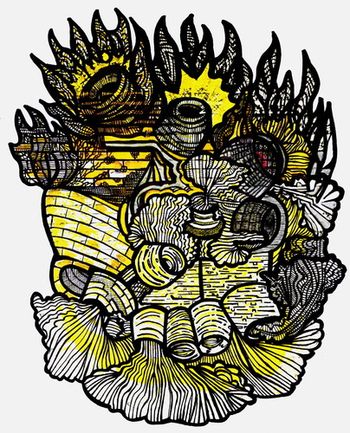 Tim Bulkley - sights