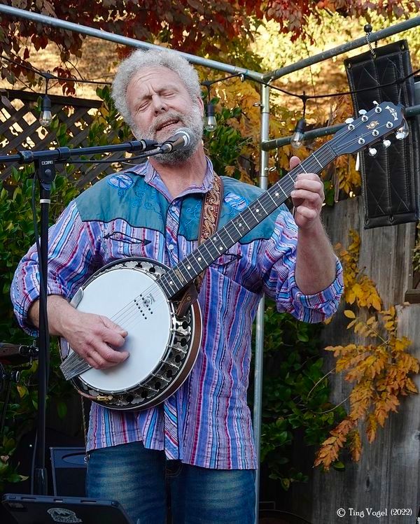 Painted Mandolin - Photos