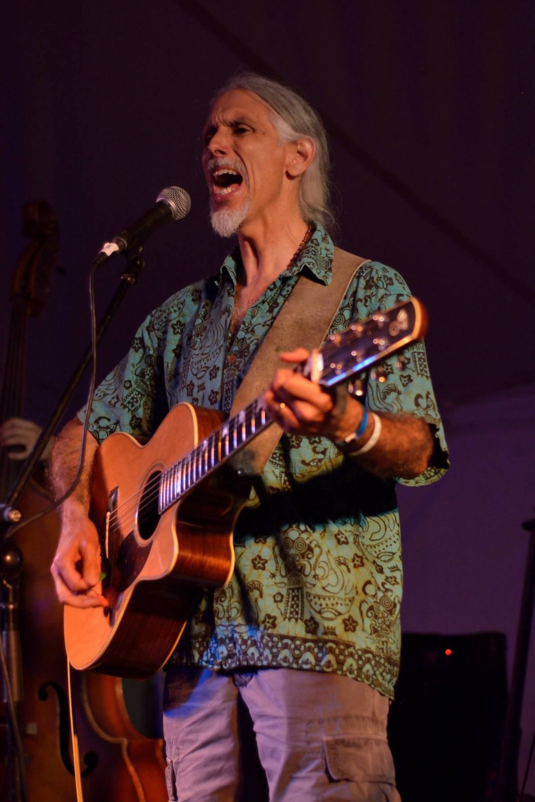 Painted Mandolin - Photos