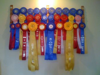 The Original Ribbon Rack - Purchase