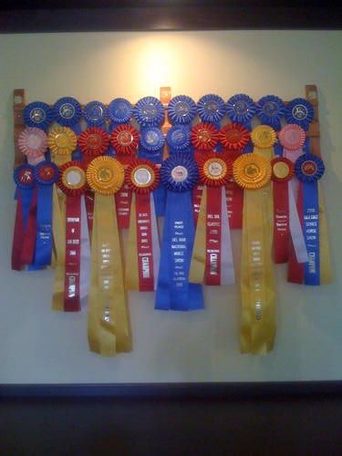 The Original Ribbon Rack - Purchase