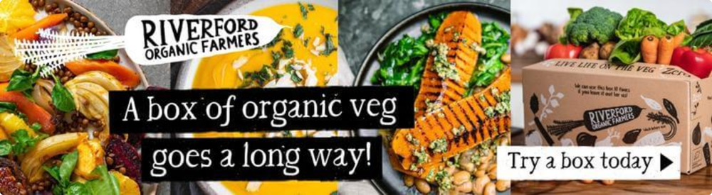 The English 909 Radio