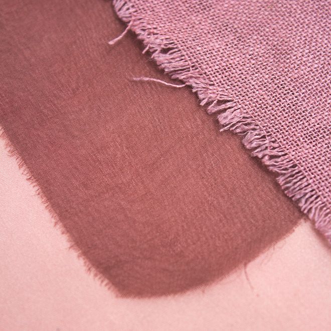 Dye Plants in Curious Spaces - Sumac