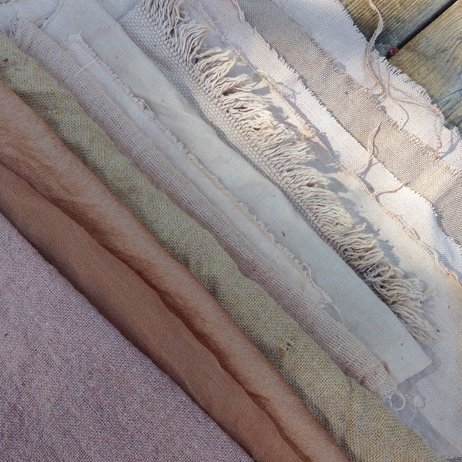 Dye Plants in Curious Spaces - Sumac