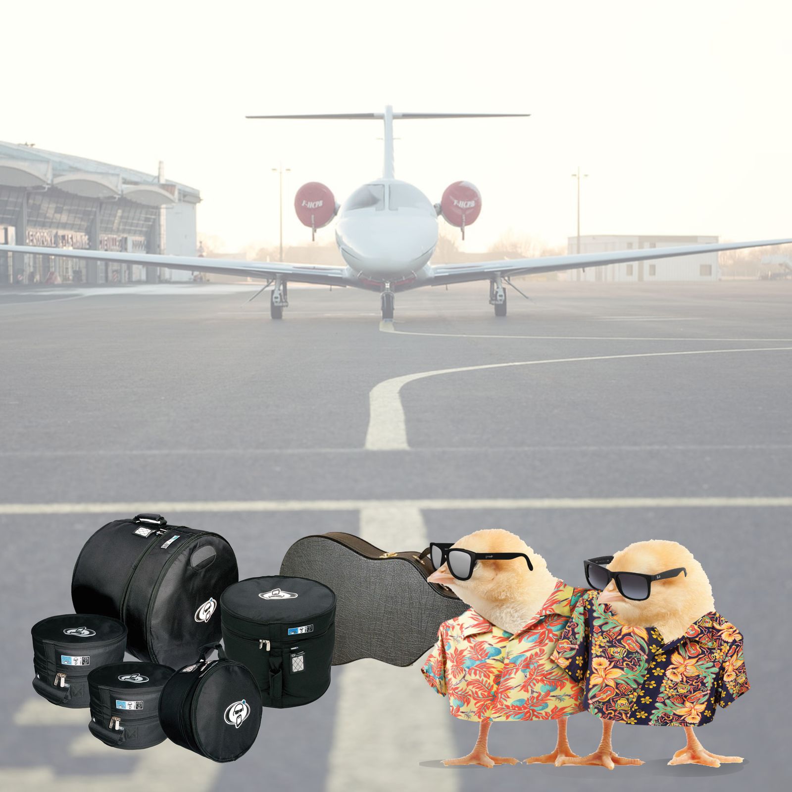 The Chicken Boys - Photos