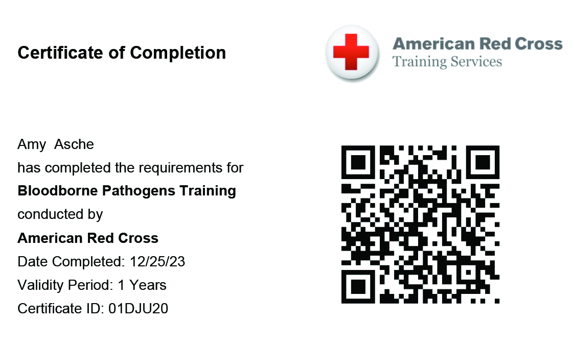 Amy Asche Artist - Credentials