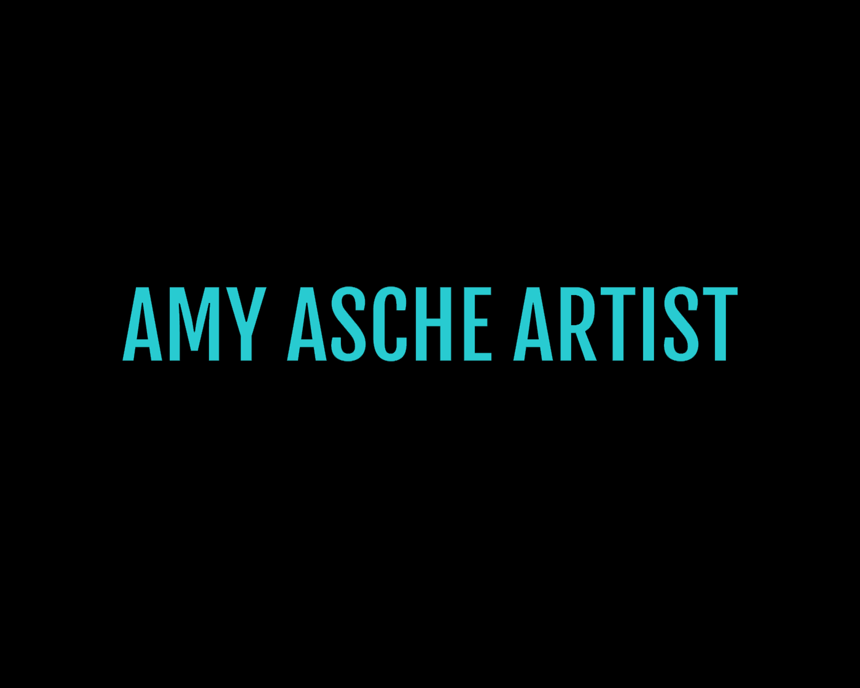 Amy Asche Artist