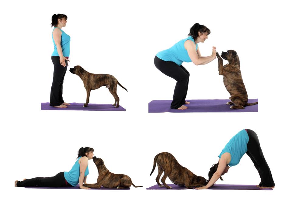 From Yoga to Doga
