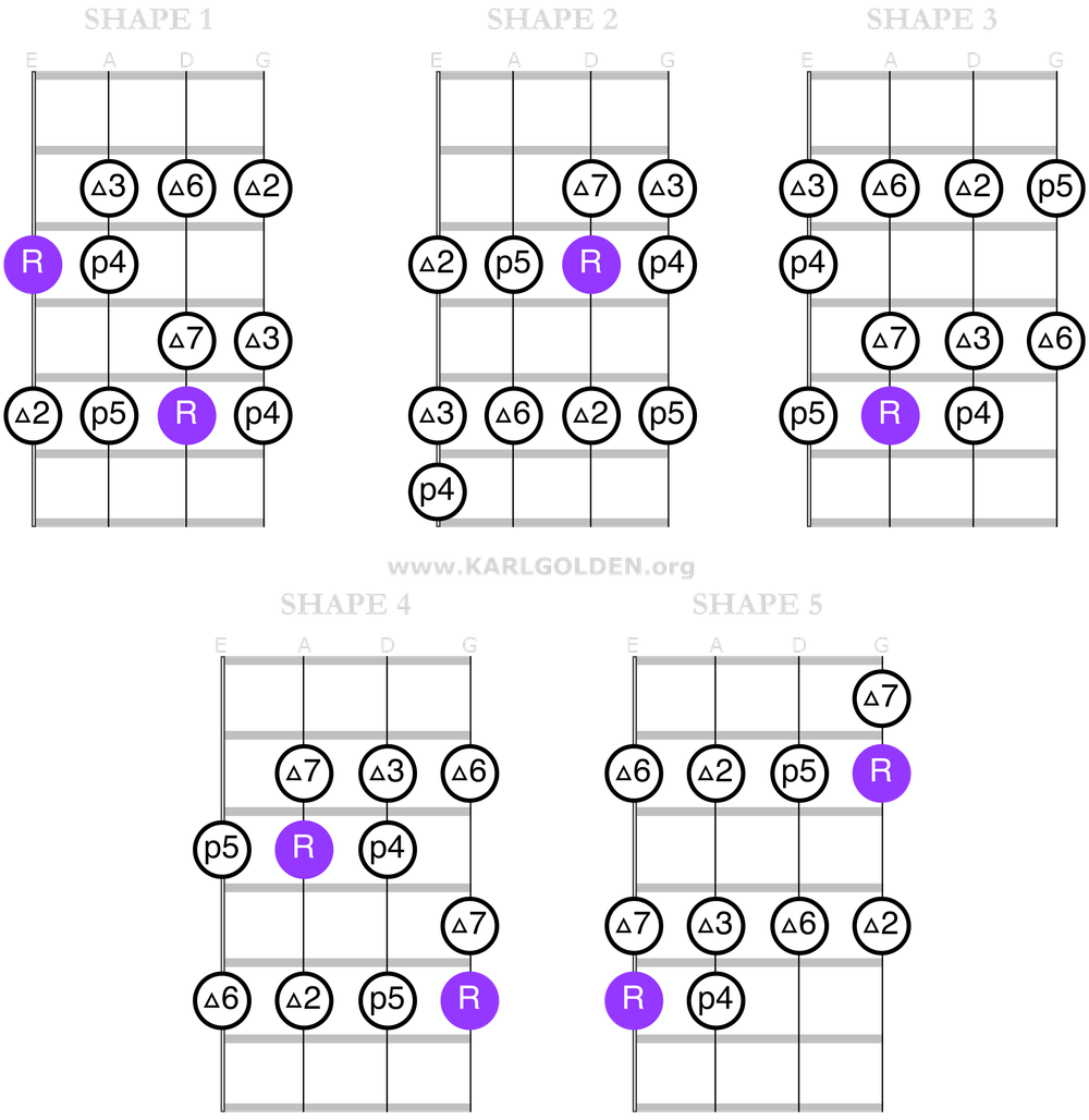 Major Scale Shapes & Bass Guitar Theory