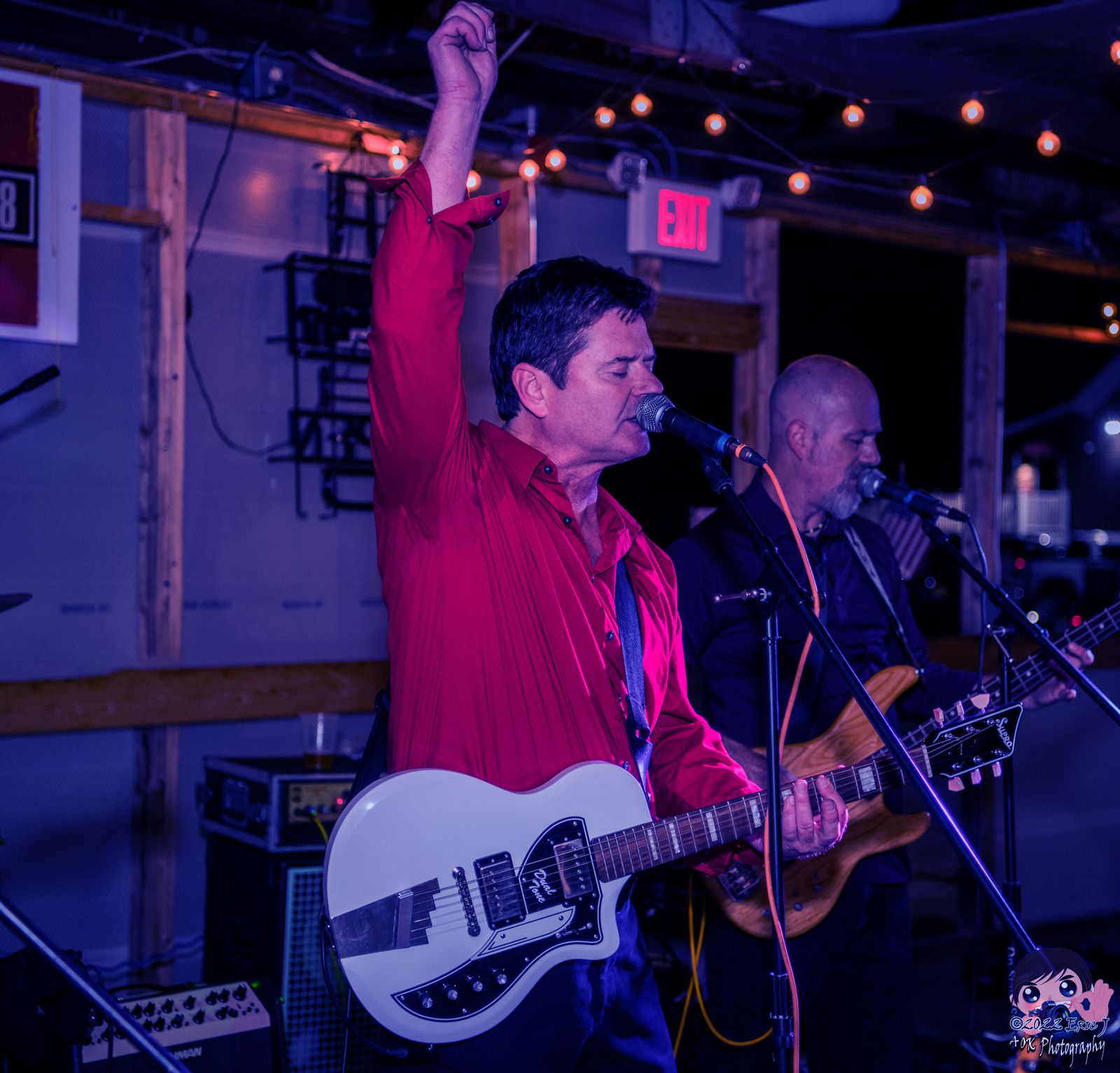 REBEL REBEL a tribute to DAVID BOWIE - Photos and Videos