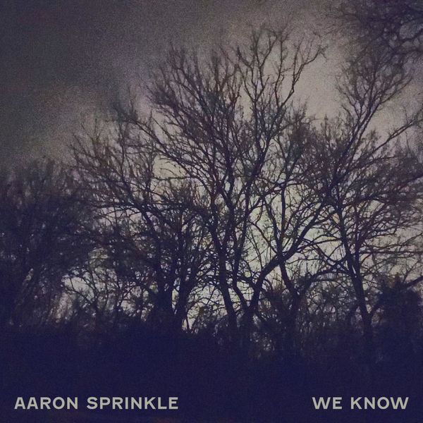 Aaron Sprinkle