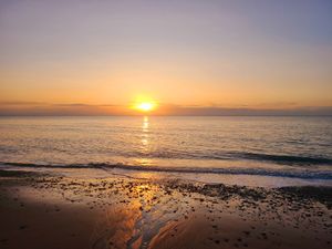 Paddy Homan - Ireland Music Tours