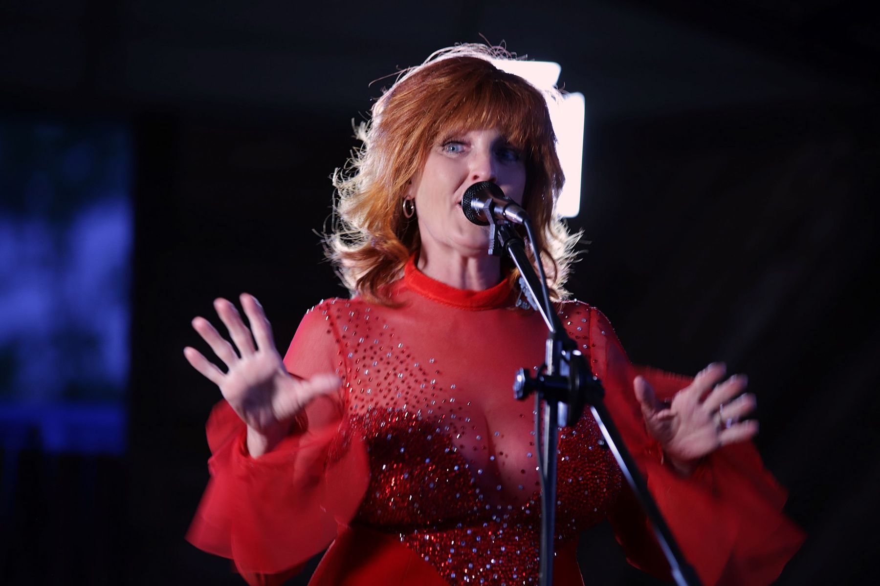 Fancy - A Tribute to Reba McEntire Featuring Lynn Logan - The Lynn ...