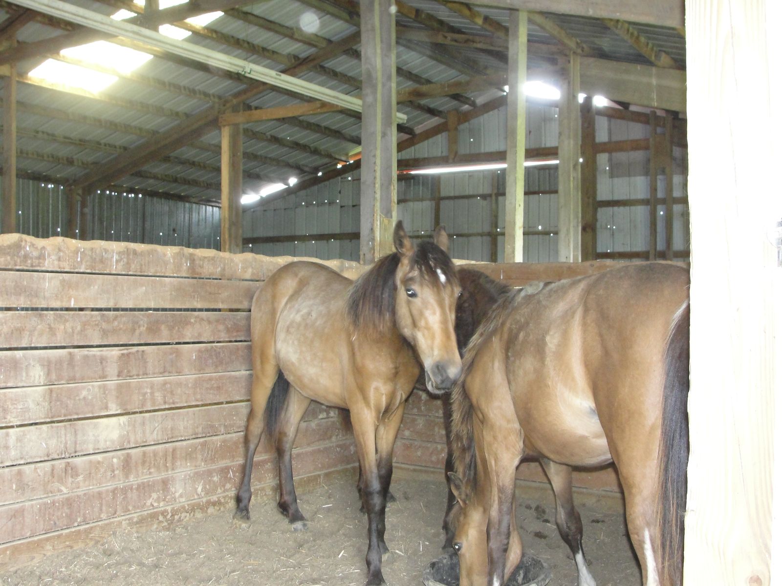 H & H Stables