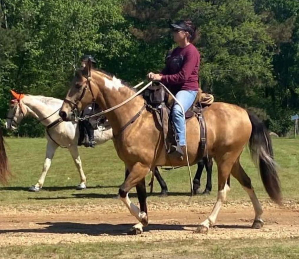 H & H Stables - Happy Customers