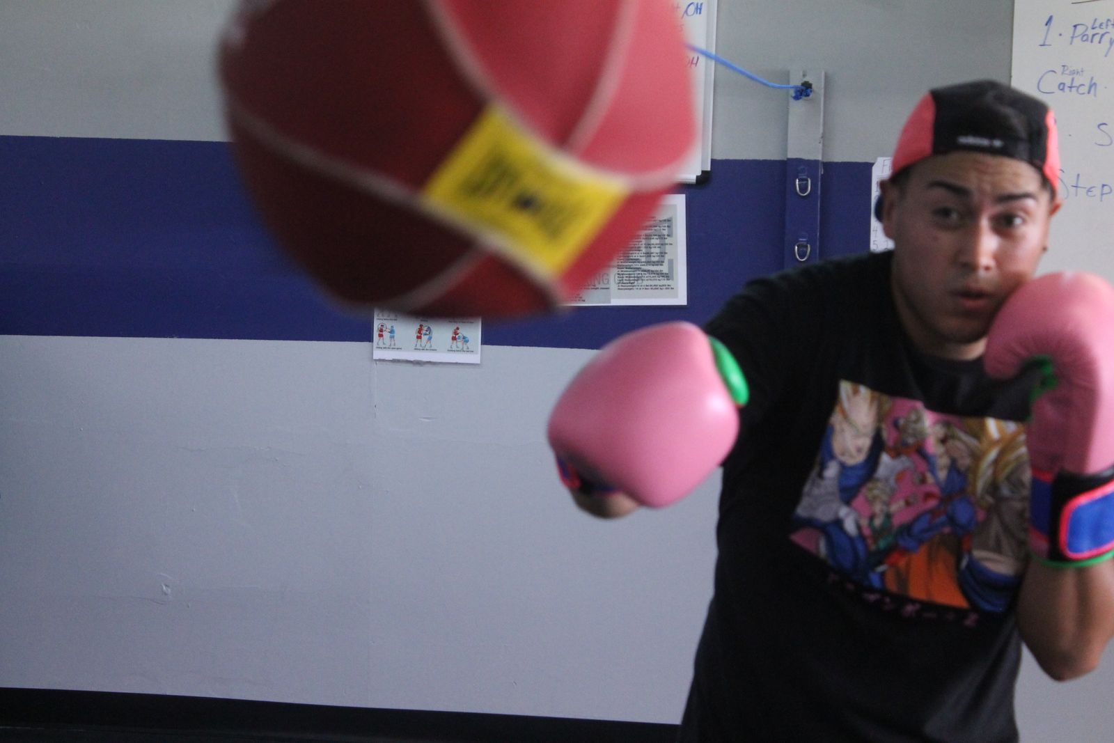 United Boxing Club Inc. - Photos